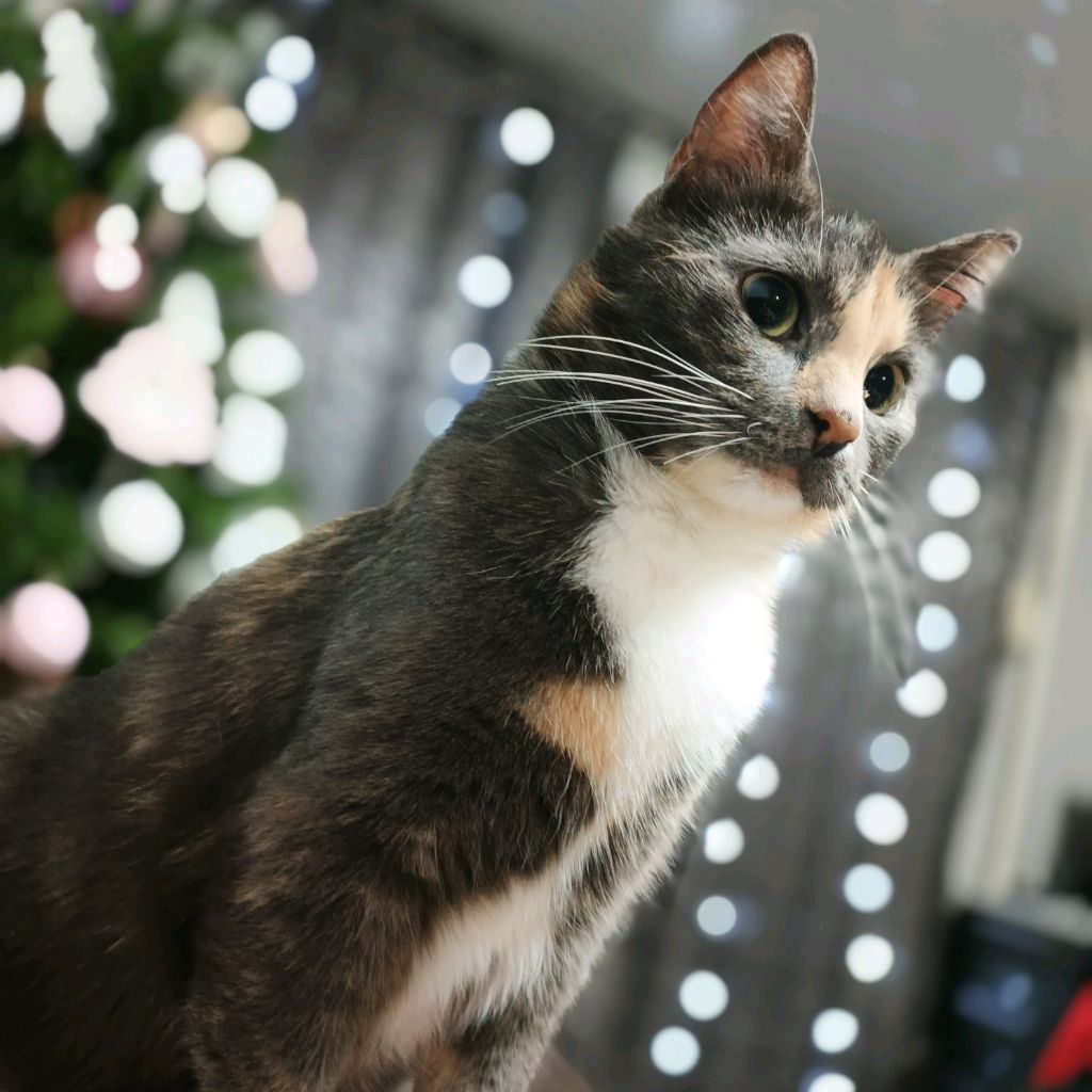 Иконка канала Vaiboss Games