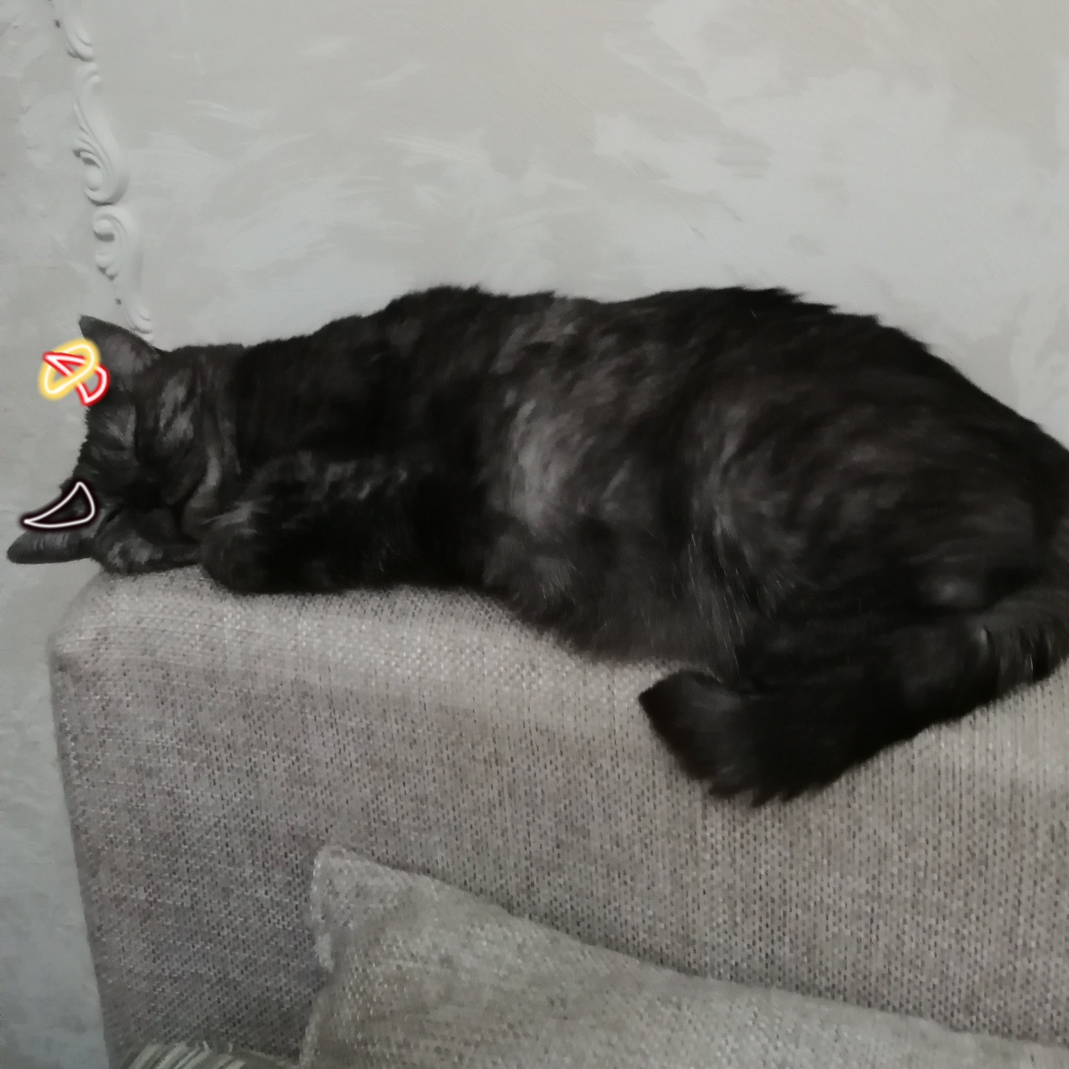 Иконка канала ID35756664