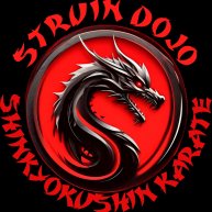 Иконка канала Карате для детей в STRUIN DOJO.