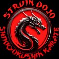 Иконка канала Карате для детей в STRUIN DOJO.