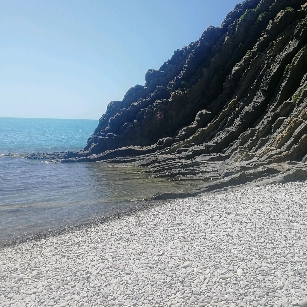 Иконка канала Ц.С.Н.