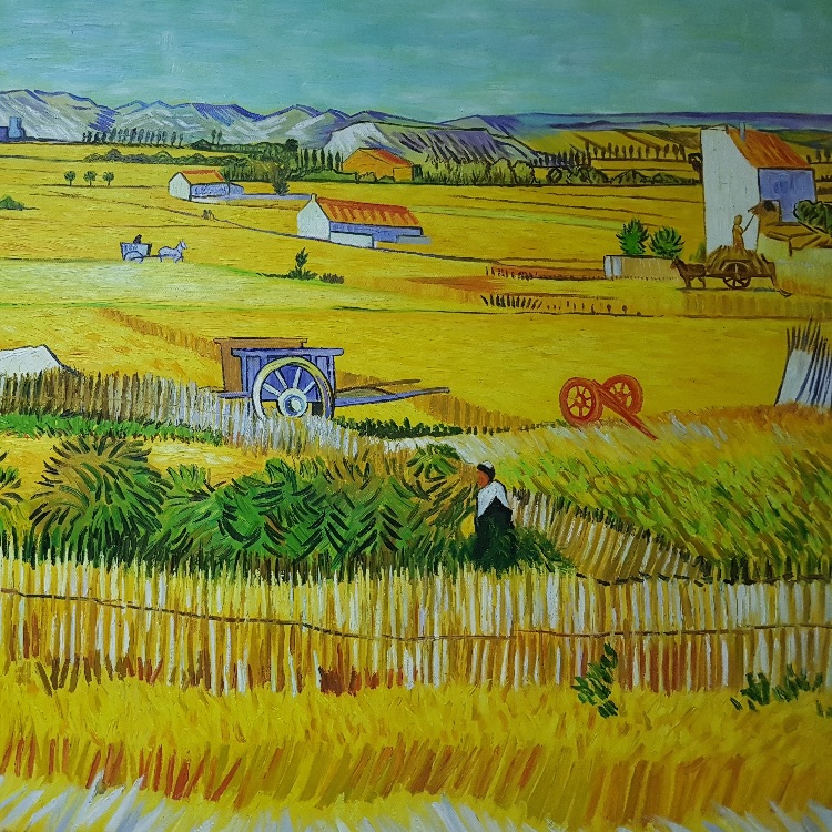 Иконка канала ООО КОЛОС