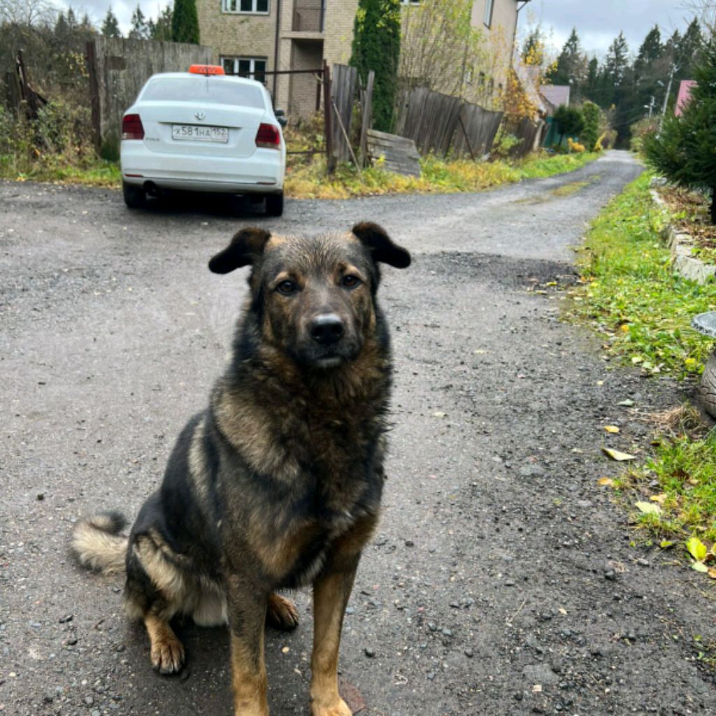 Иконка канала channel72829888