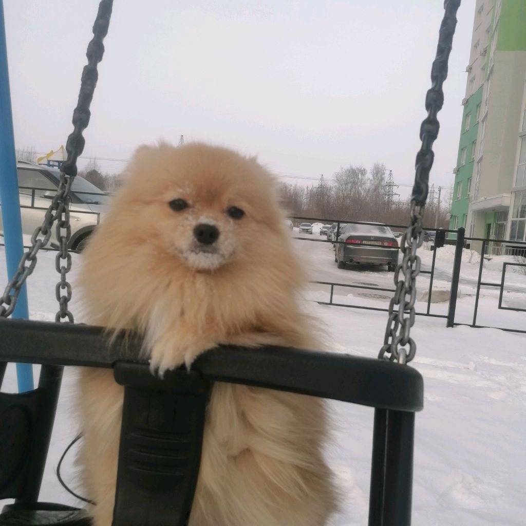 Иконка канала Kira