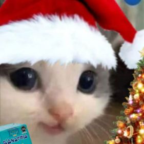 Иконка канала бибизьяна фанатка вилли \культ бибизьянок\