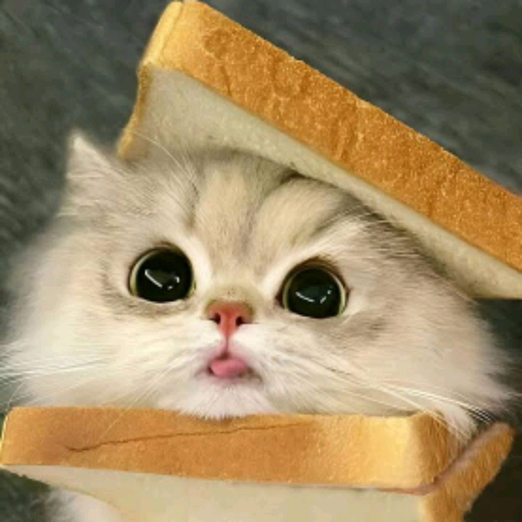 Иконка канала Хлебушек