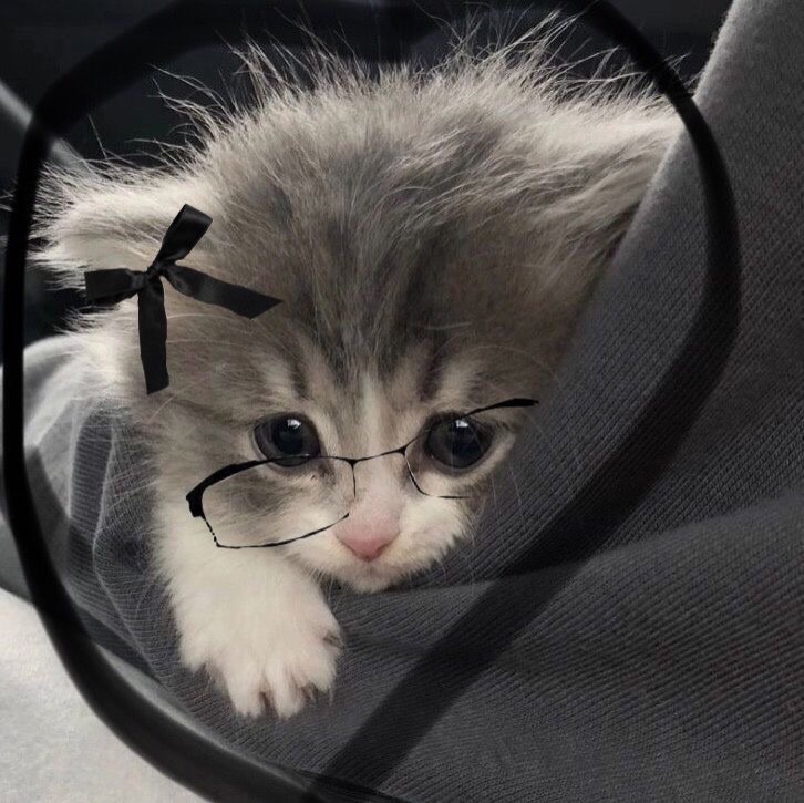 Иконка канала |🍓•kitty queen•🍓|