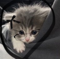 Иконка канала |🍓•kitty queen•🍓|