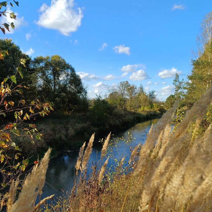 Иконка канала Beautiful nature