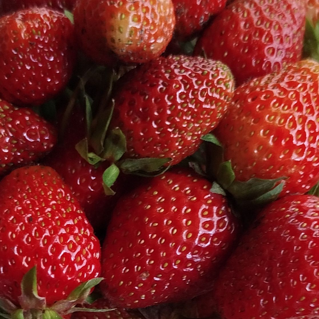 Иконка канала Елена Крау