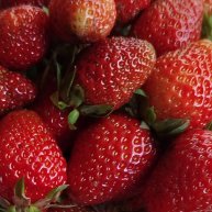 Иконка канала Елена Крау