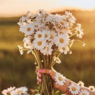 Иконка канала ✨Уютная Моя Жизнь ✨