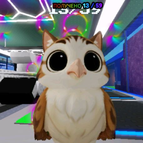 Иконка канала Meowl