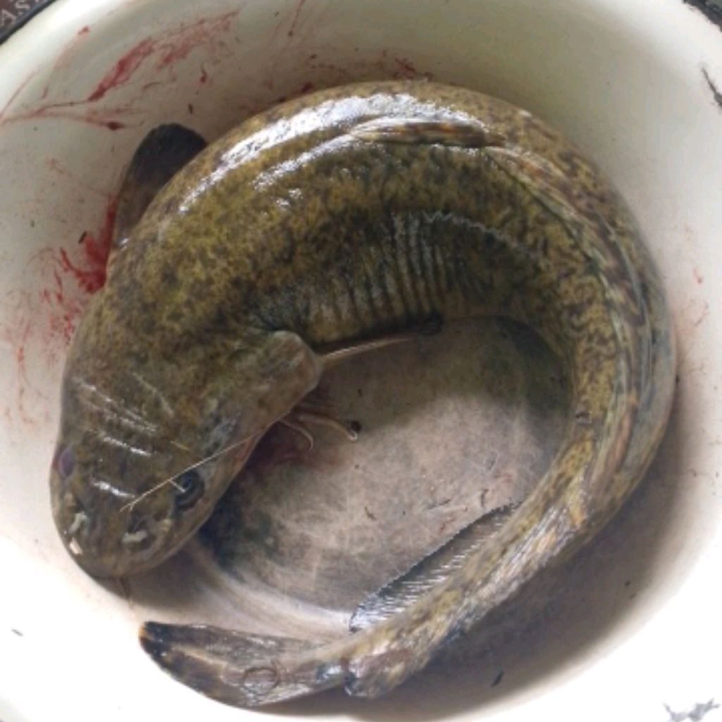 Иконка канала Рыбалка На Просторах Солнечной Бурятии