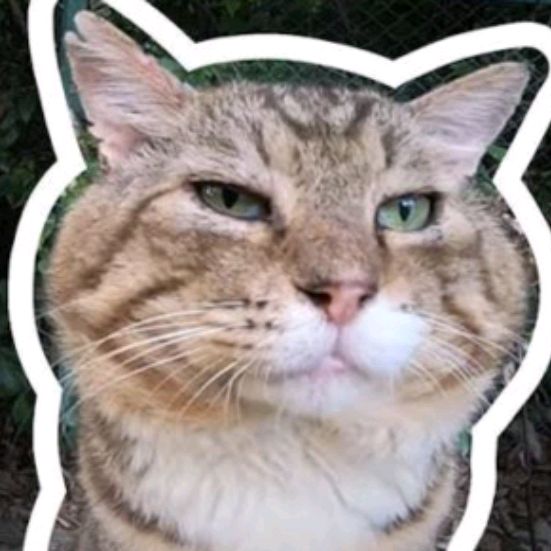 Иконка канала /Тамир/ (НОСОК🧦)