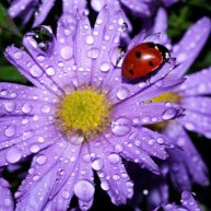 Иконка канала Какая Красота!