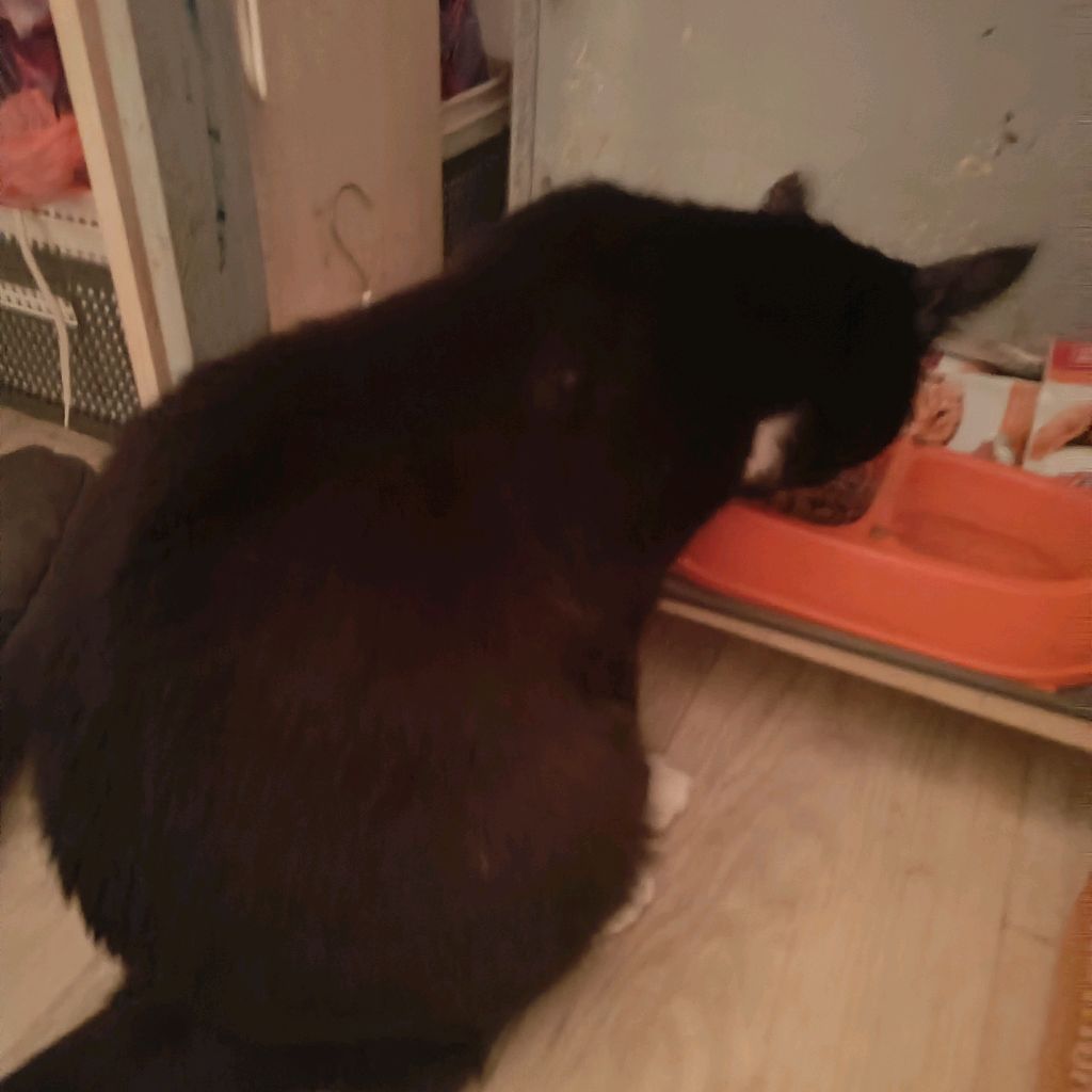 Иконка канала ромак12