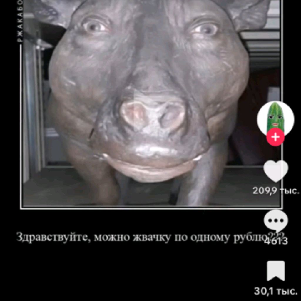 Иконка канала Семечка001