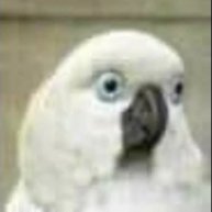 Иконка канала Fan Fun