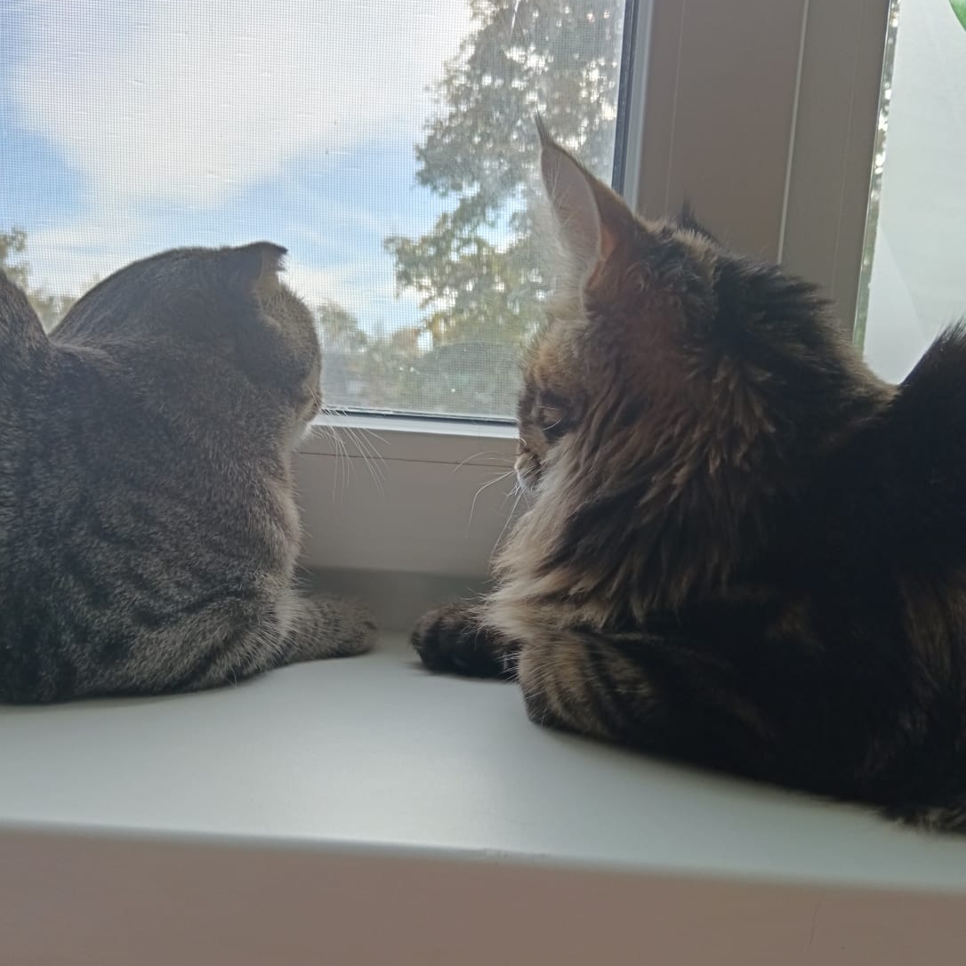 Иконка канала семейный очаг.