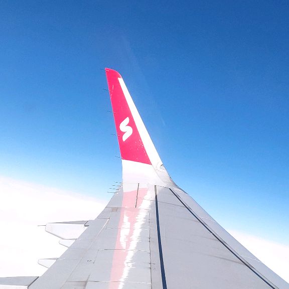 Иконка канала ПоляVоля