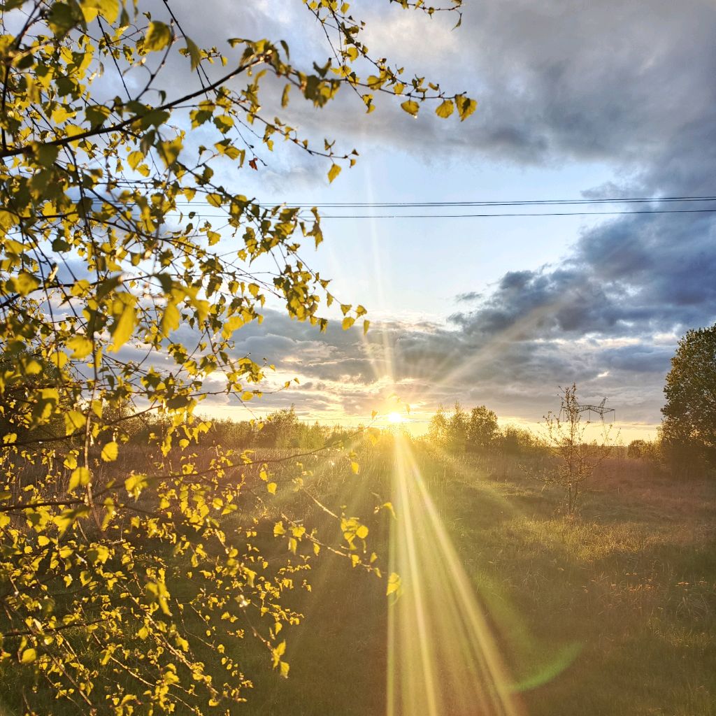 Иконка канала Будни в деревне 🤗