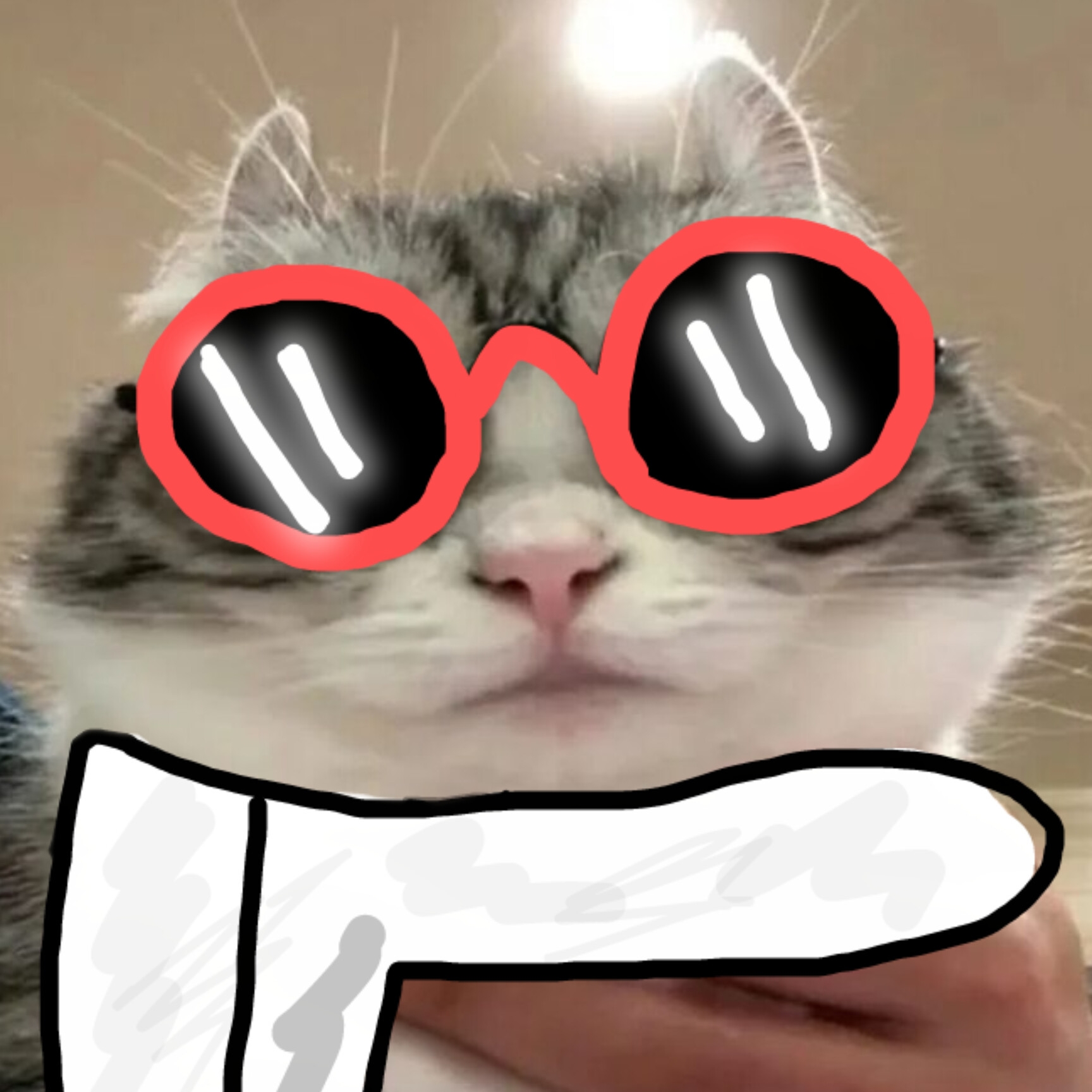 Иконка канала 🤍Cat Play G🤍