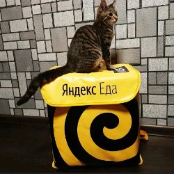 Иконка канала сапог яндекс еда