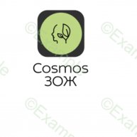 Иконка канала Cosmos ЗОЖ🌿