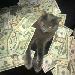 Иконка канала Гусеин Гусейнов