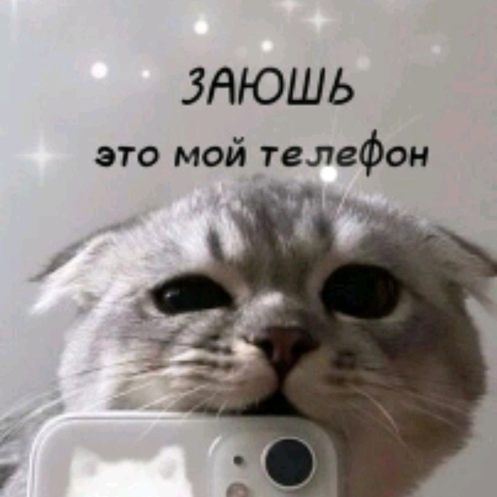 Иконка канала Кошка 24 Мяу