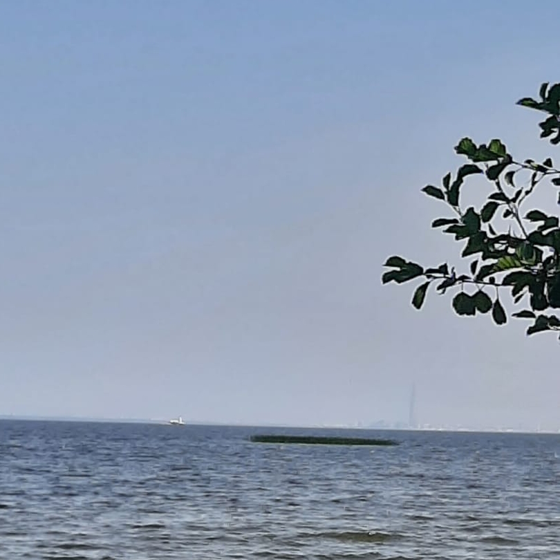 Иконка канала Душевная музыка