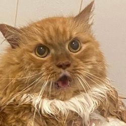 Иконка канала ЛАБАТЕЛЬНАЯ СТАНЦИЯ