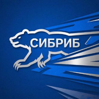 Иконка канала СИБРИБ - разработка и производство