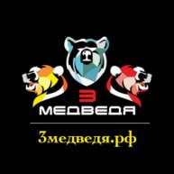 Иконка канала medvedi2024