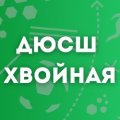 Иконка канала ДЮСШ п. Хвойная