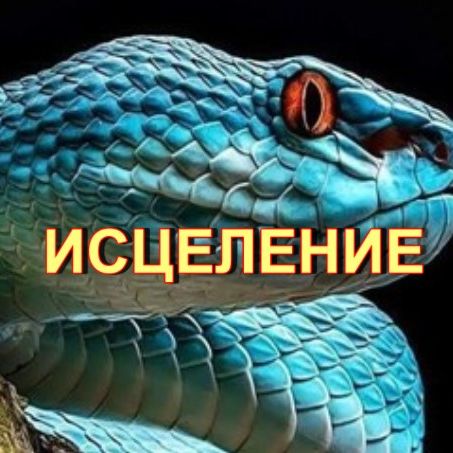 Иконка канала ⚡ИСЦЕЛЕНИЕ. 5-й высший ментальный уровень.