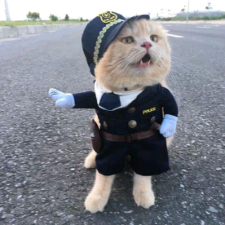 Иконка канала ДПС Бублик