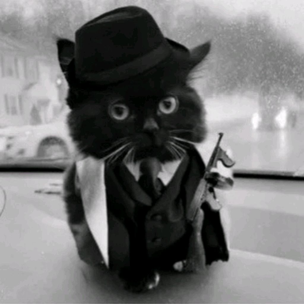 Иконка канала O zdravo🥋🏀