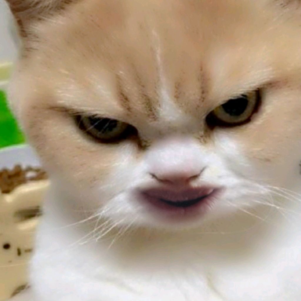 Иконка канала Flow12 (нет это рутуб)