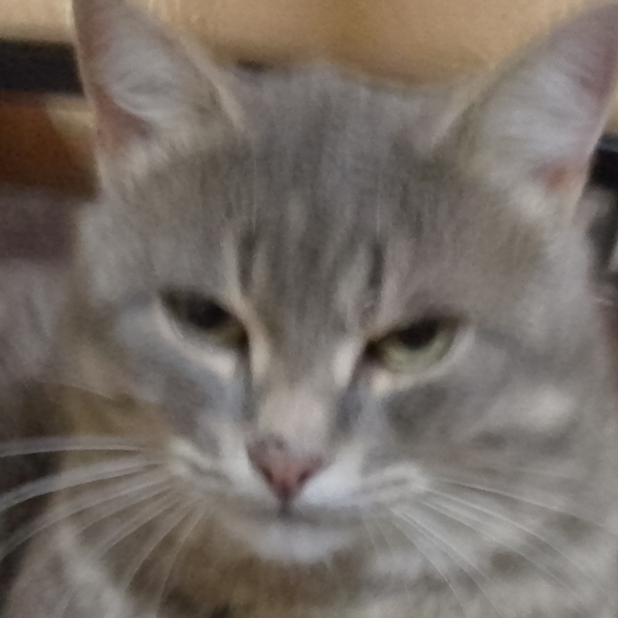 Иконка канала kpgirkp