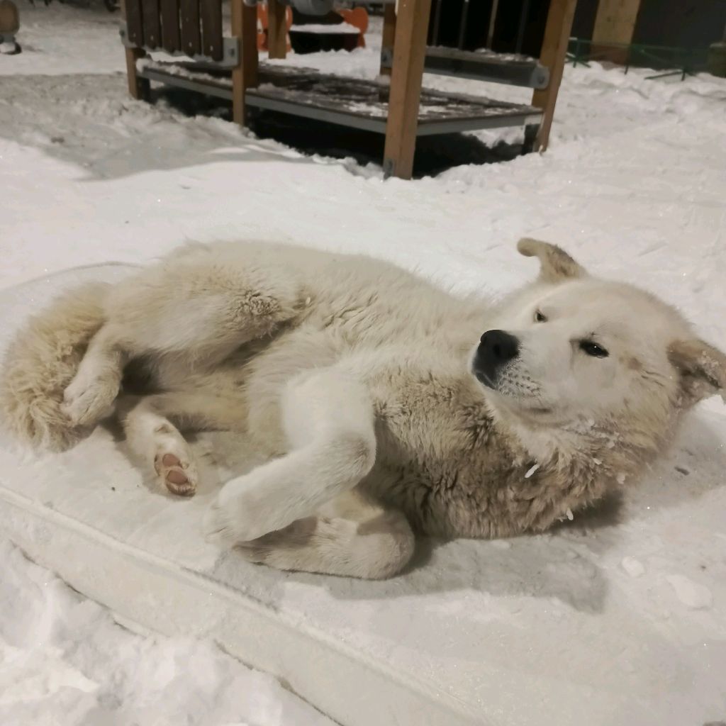 Иконка канала Артём