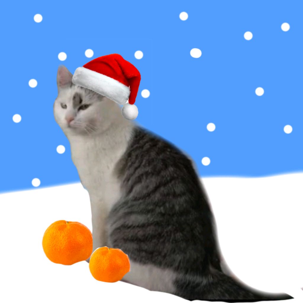 Иконка канала Котёнок Аня