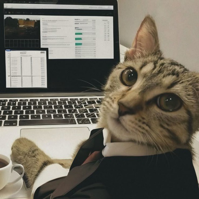 Иконка канала Шакиров Радик Маратович