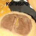 Иконка канала КОПИБРО