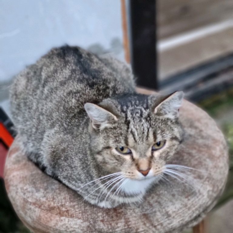 Иконка канала Всеволод