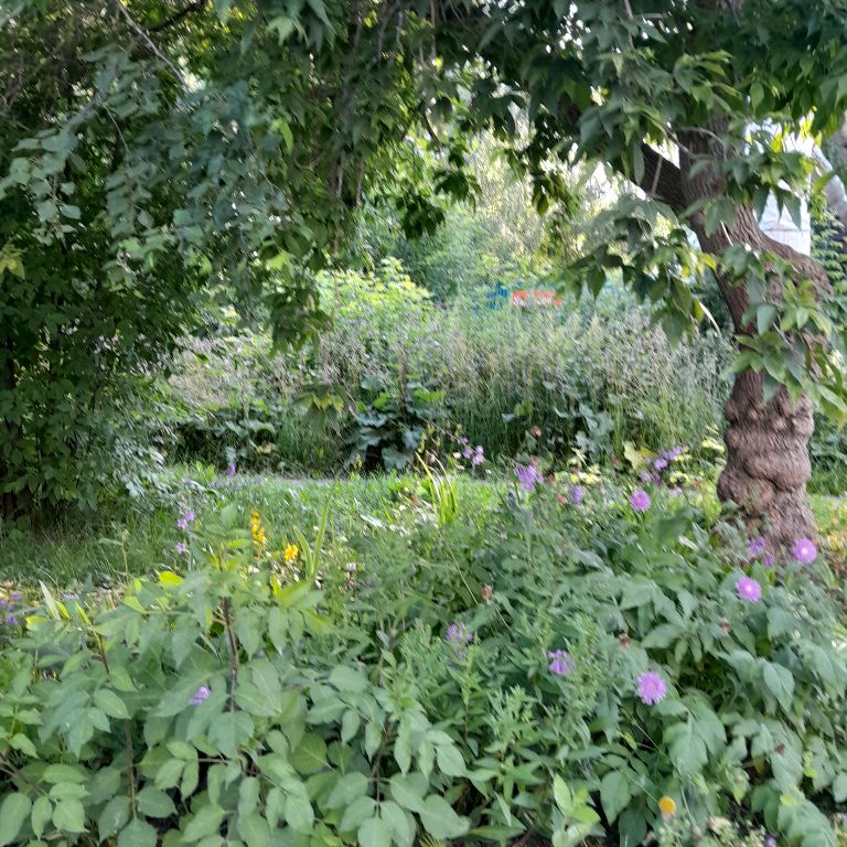 Иконка канала 🔮🌿Tale of the Meadow🌿🔮