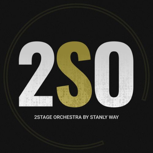 Иконка канала 2StageOrchestra