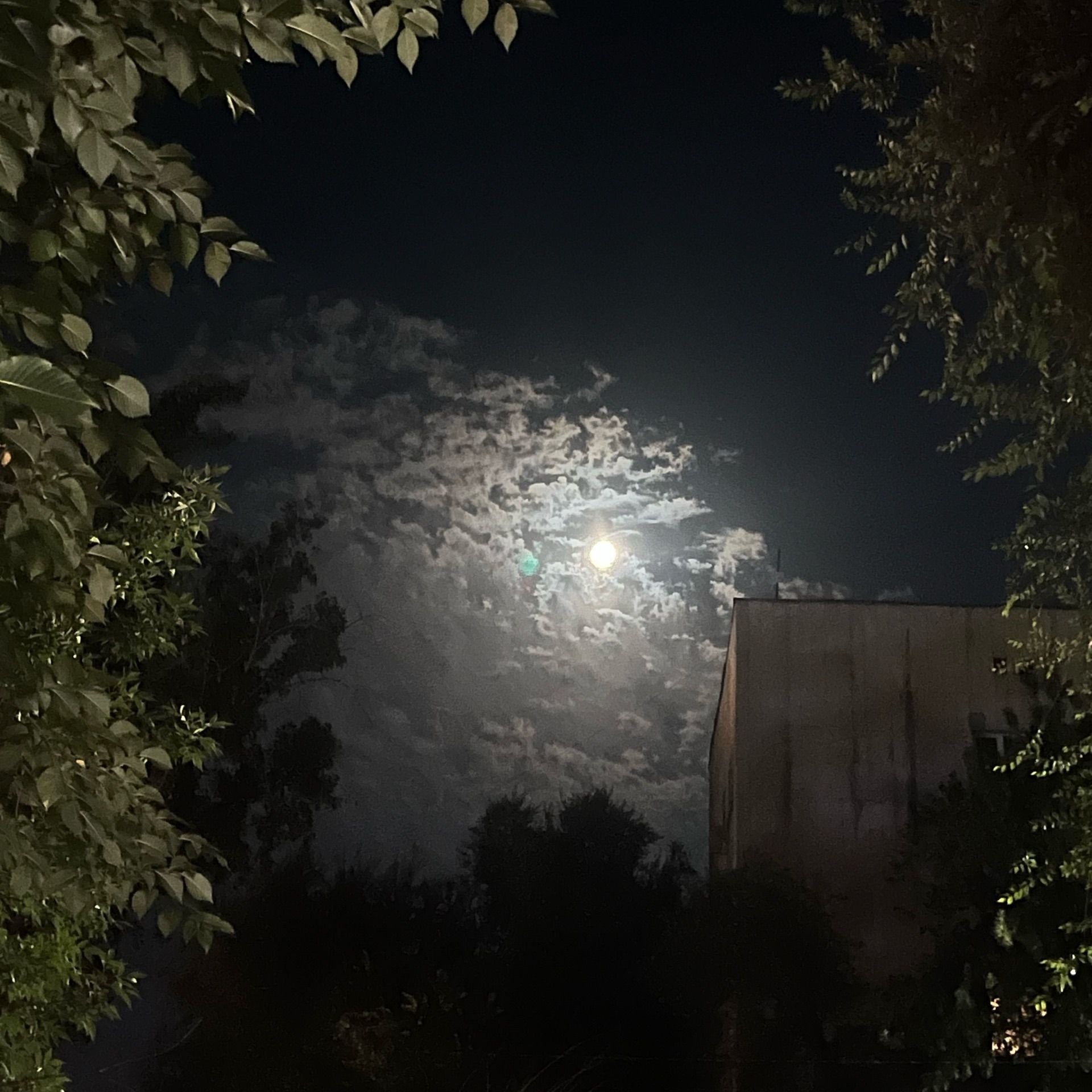 Иконка канала Glum4ik