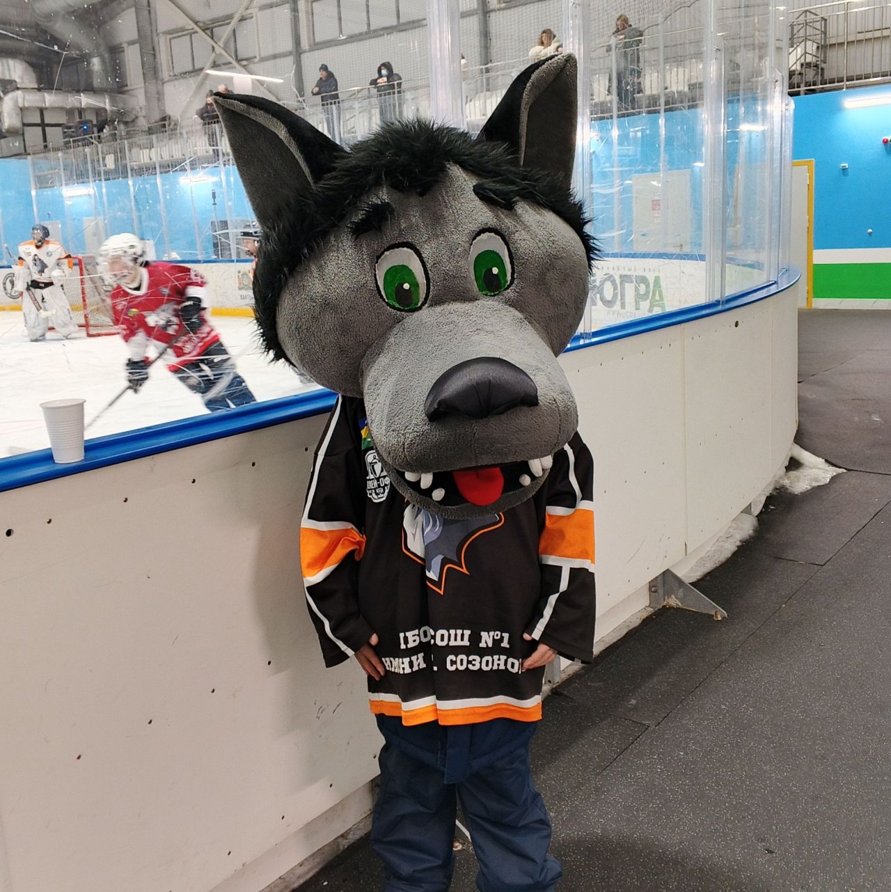 Иконка канала Только первая и спорт